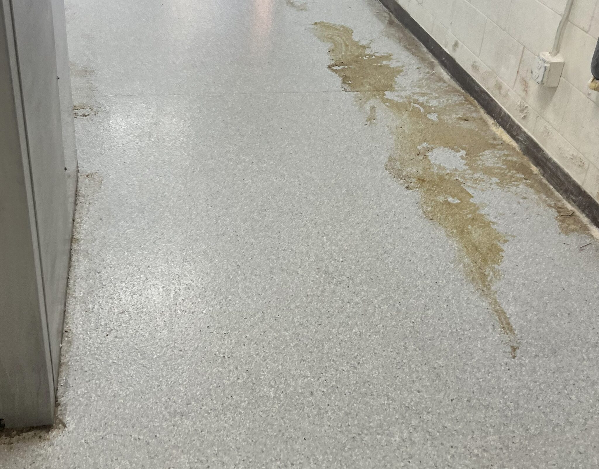 Is It Time to Remove Epoxy? Here’s What You Need to Know for a Garage ...